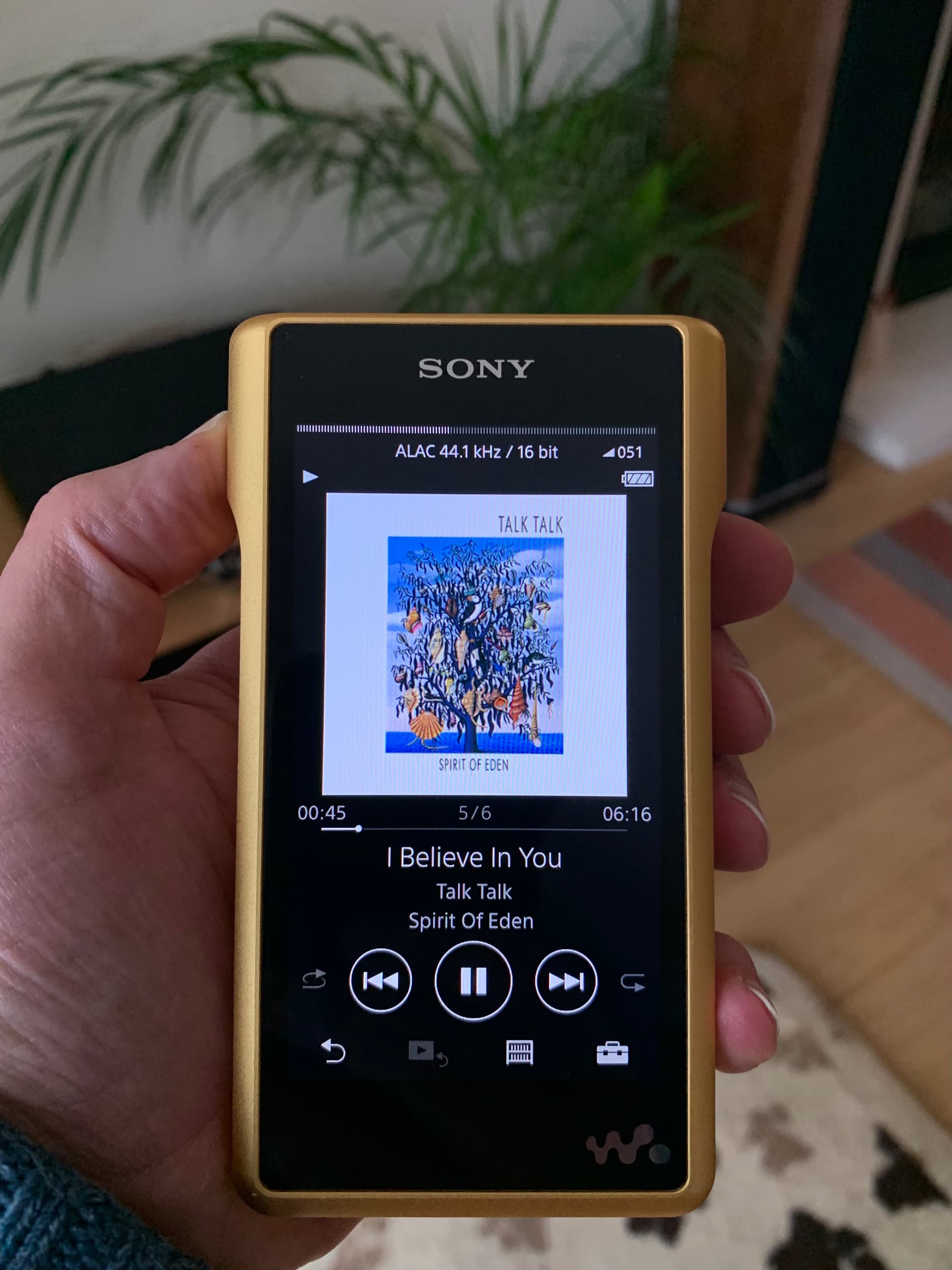 DAP thread - Hi-Fi Corner - Naim Audio - Community